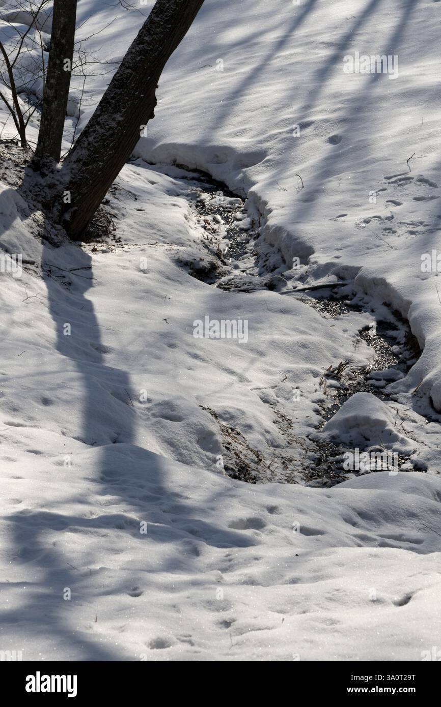 Spring scene with a stream flowing among melting snowdrifts and ...