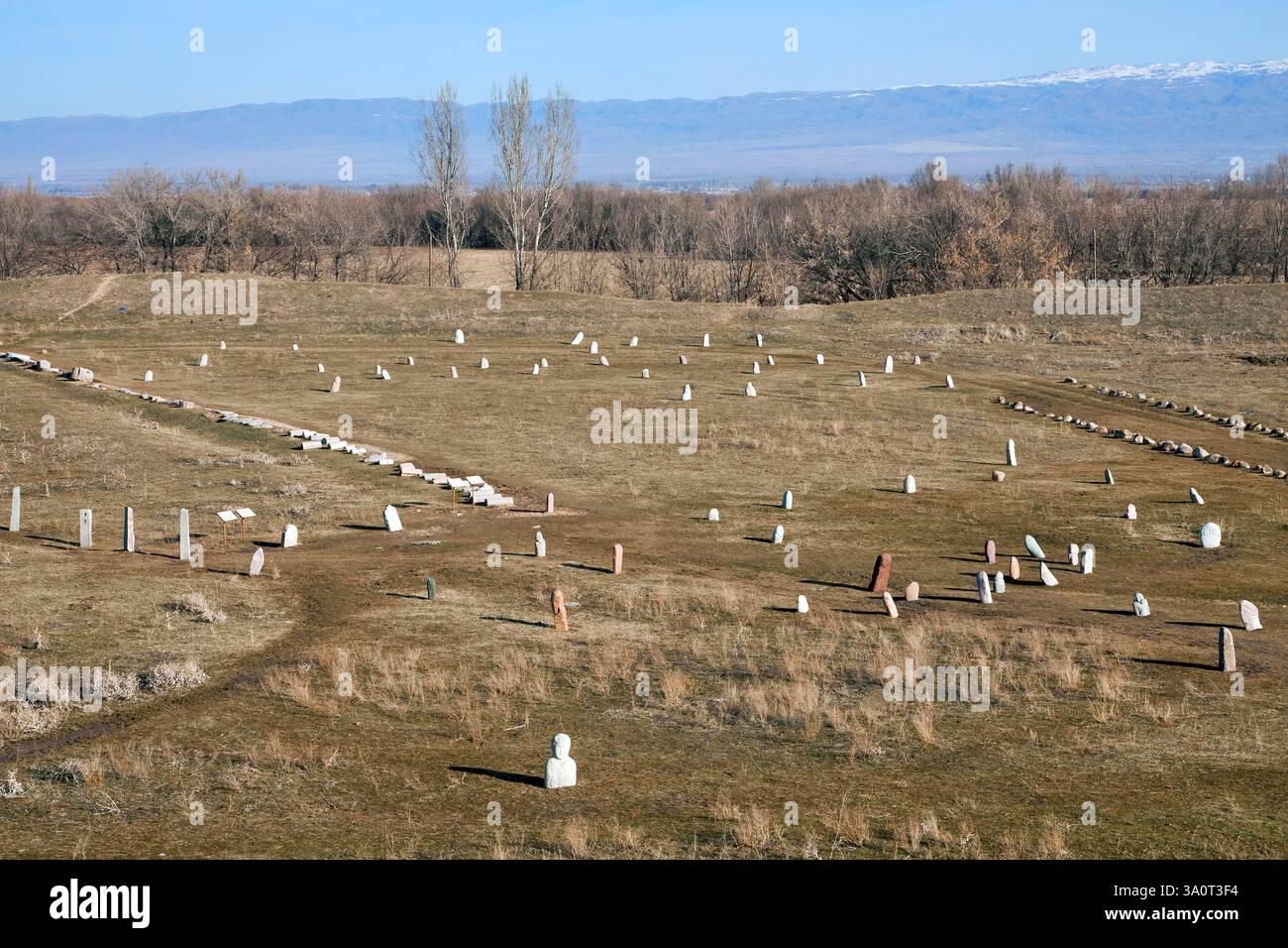 Kurgan stelae, Balbal, ancient historical stones on the territory of ...