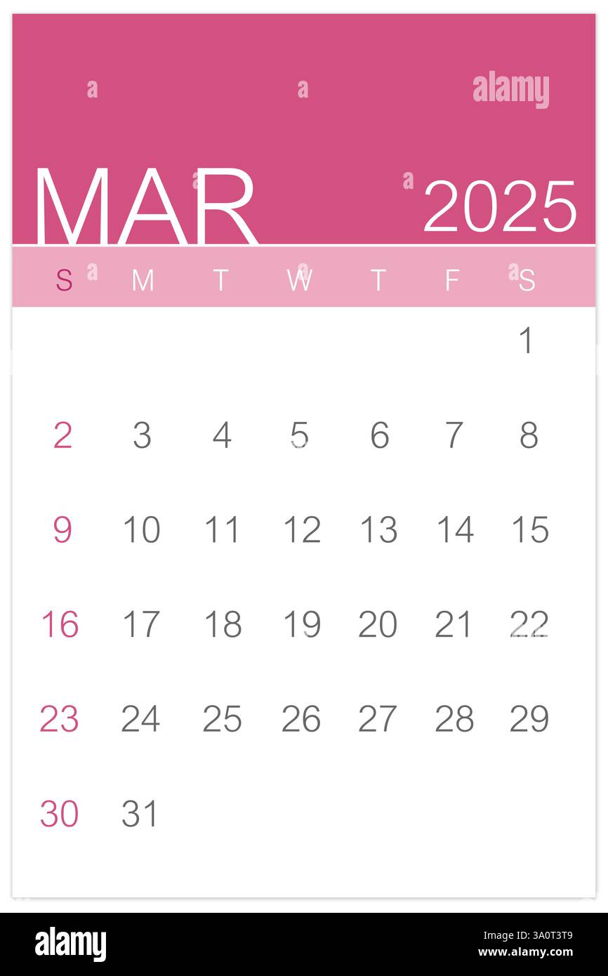 Vertical of Pink March 2025 Calendar page isolated on white background ...