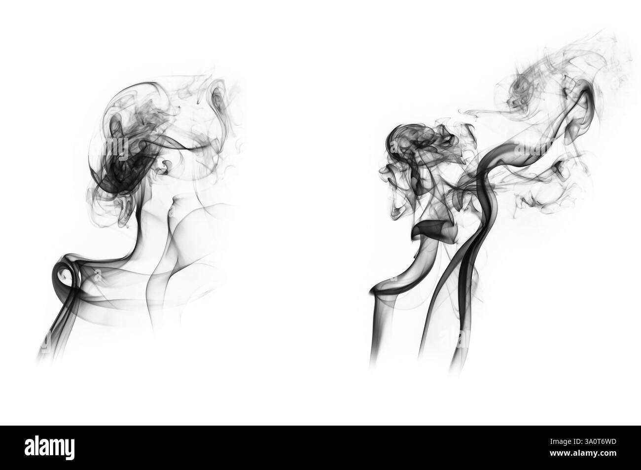 In the photo, various forms of smoke are shown rising upwards and ...