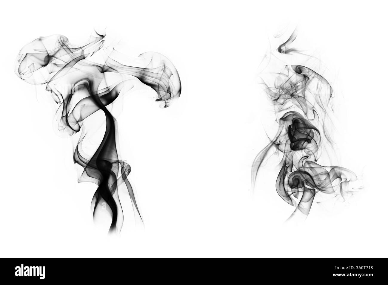 In the photo, various forms of smoke are shown rising upwards and ...