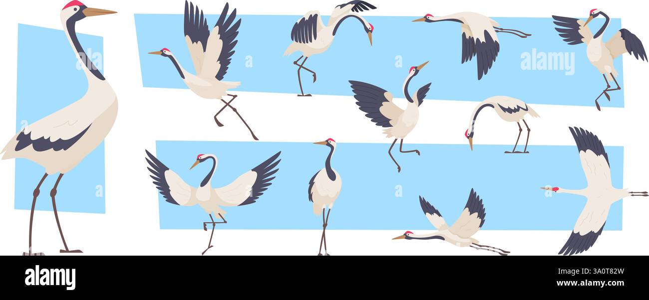 Stork. Flying crane birds collection exact vector asian wildlife ...