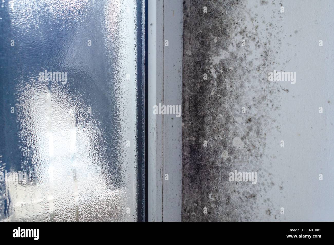 Hazardous black mold on damp wall by window frame Stock Photo - Alamy