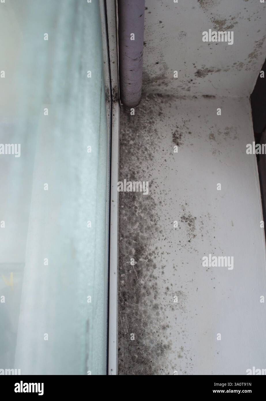 Toxic mold patches on damp wall near window frame Stock Photo - Alamy