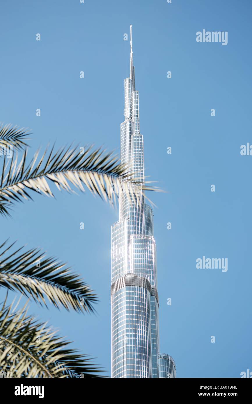 Palm tree and Burj Khalifa is a supertall skyscraper in Dubai, UAE, the ...