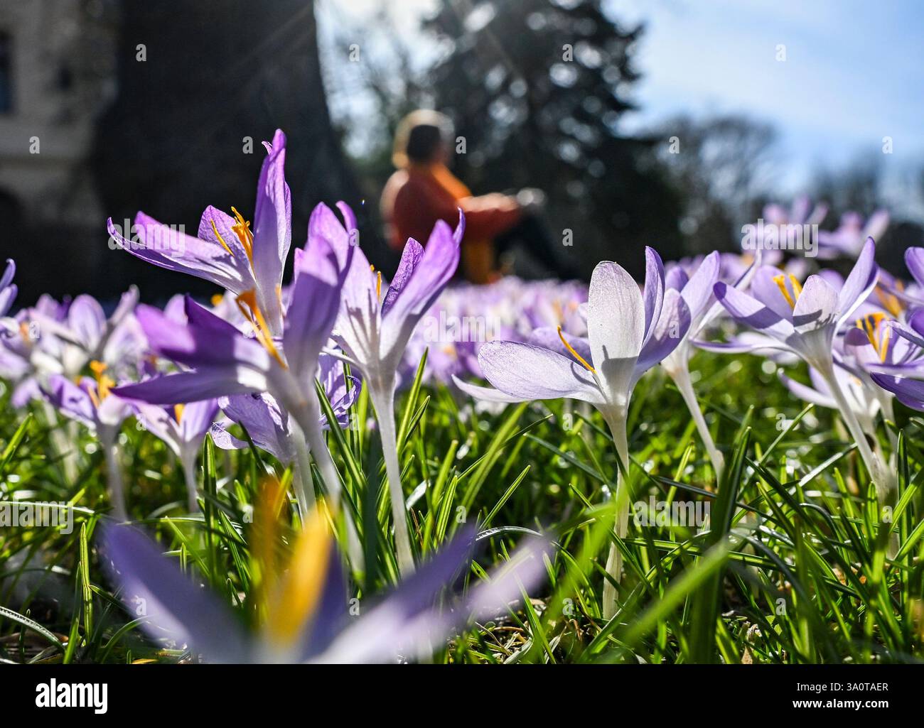 Potsdam, Germany. 05th Mar, 2025. Sarah from Potsdam sits in the ...