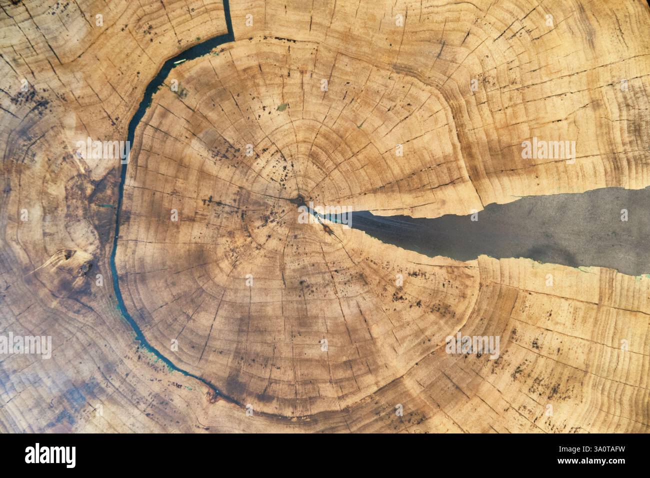 Wooden tabletop with natural rings and cracks filled with epoxy resin ...