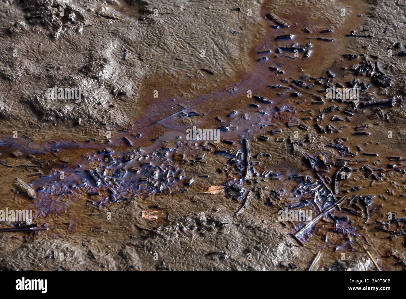 Muddy ditch hi-res stock photography and images - Alamy