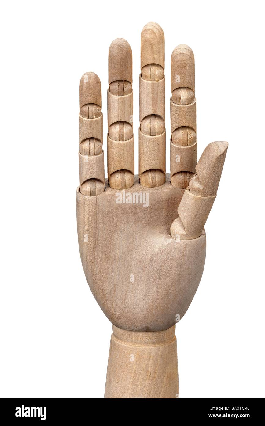 A puppet hand made of wood shows a palm with all five fingers, the ...