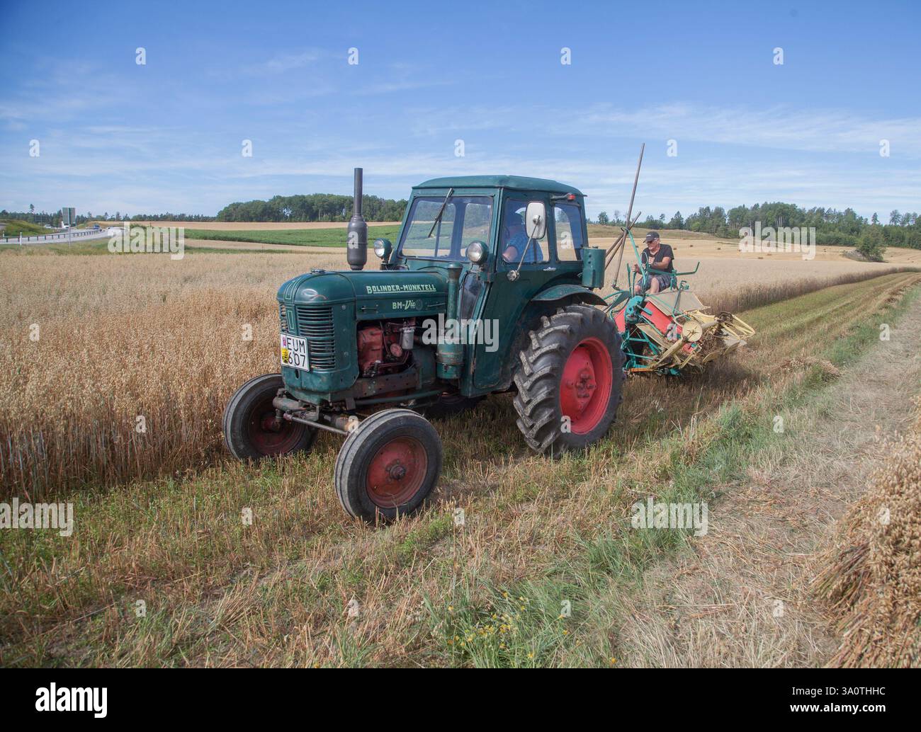 Bolinder Munktell BM tractor with self-binder under mowing of oats ...