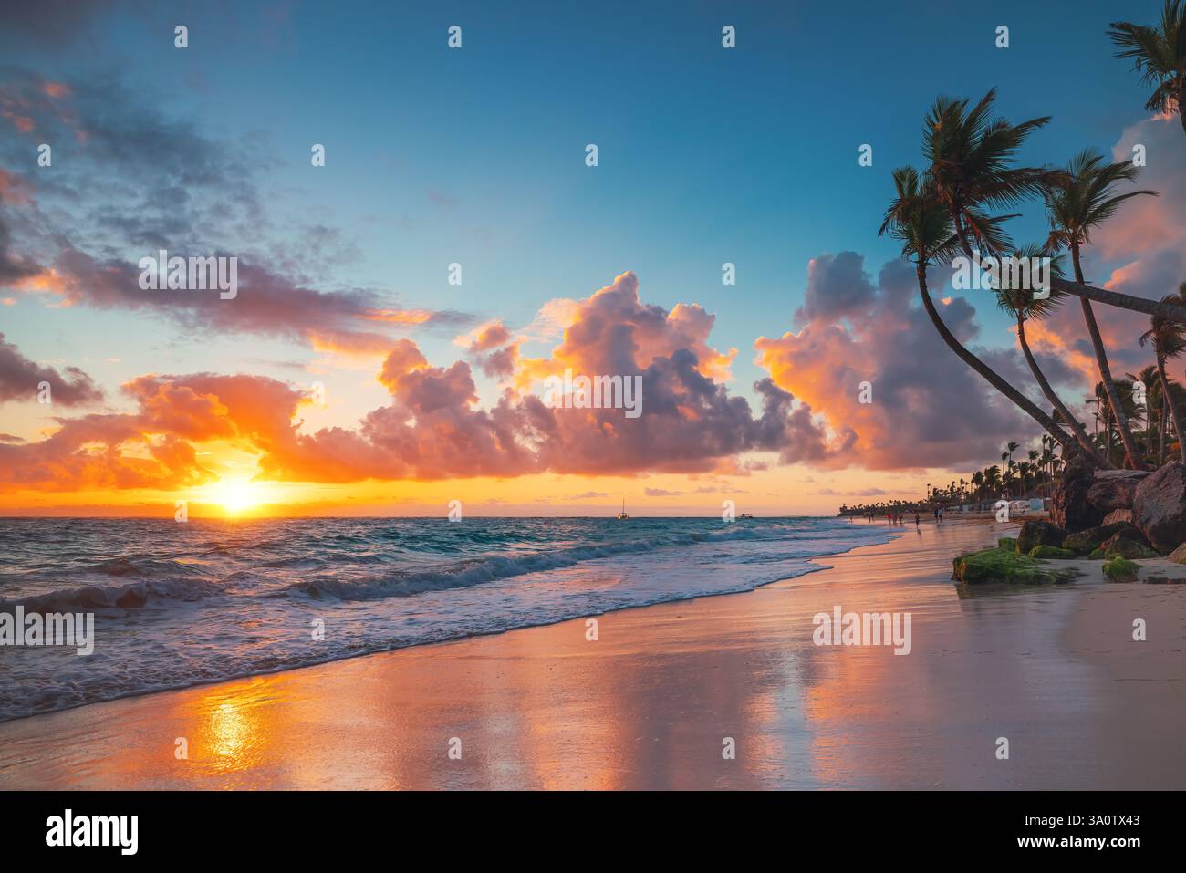 Landscape of paradise tropical island beach with palm trees, ocean ...