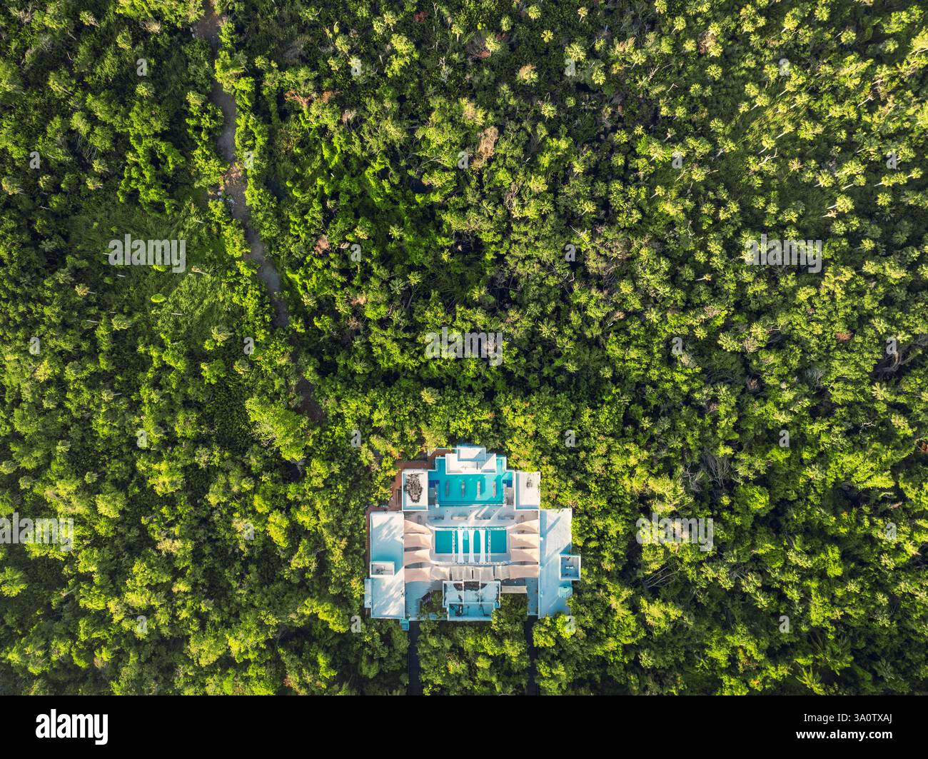 Aerial view of modern villa or hotel resort surrounded by lush green ...