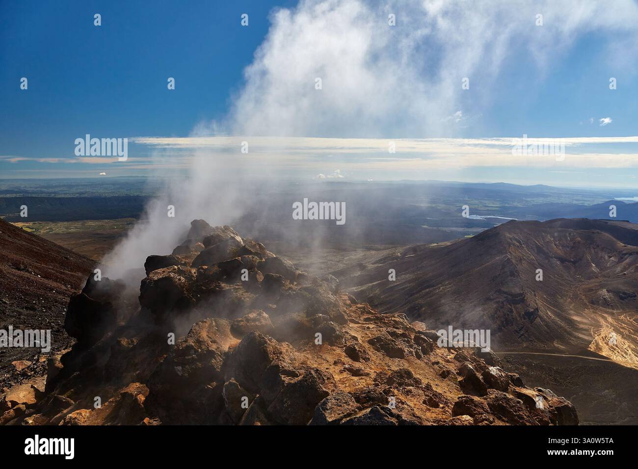 Steam vent activity in New Zealand Stock Photo - Alamy