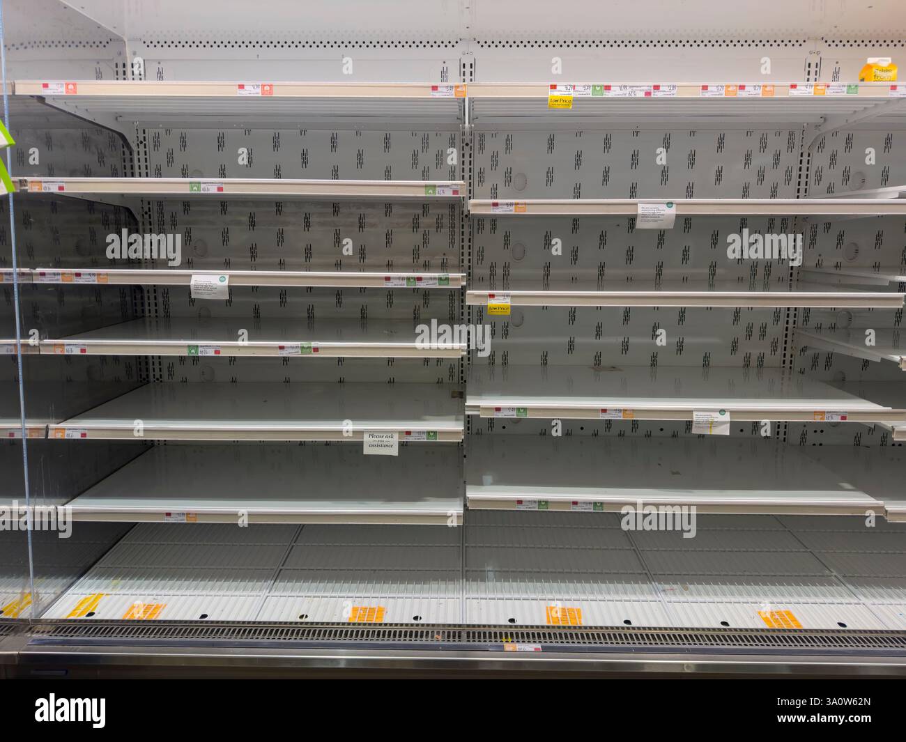 March 2, 2025 Boston, Massachusetts, USA Empty shelves, normally filled ...