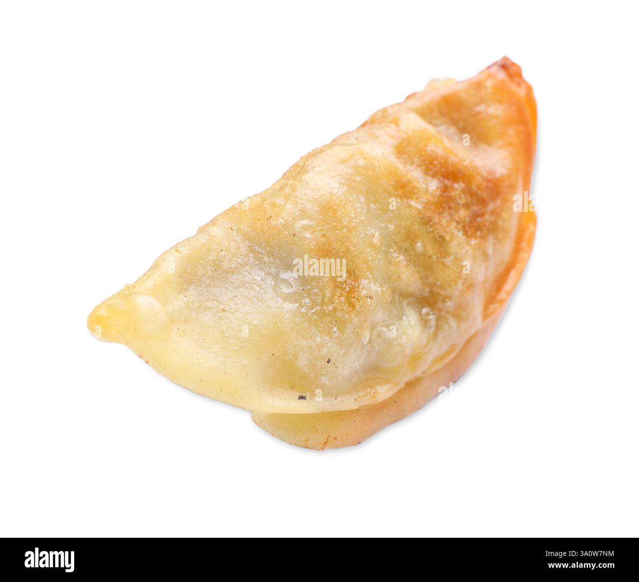One fried gyoza dumpling isolated on white Stock Photo - Alamy