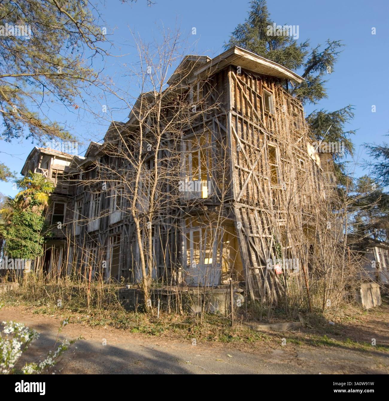 Termal turkey hi-res stock photography and images - Alamy