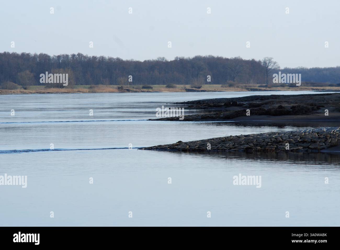 River Oder at Fürstenberg near Eisenhüttenstadt Stock Photo - Alamy