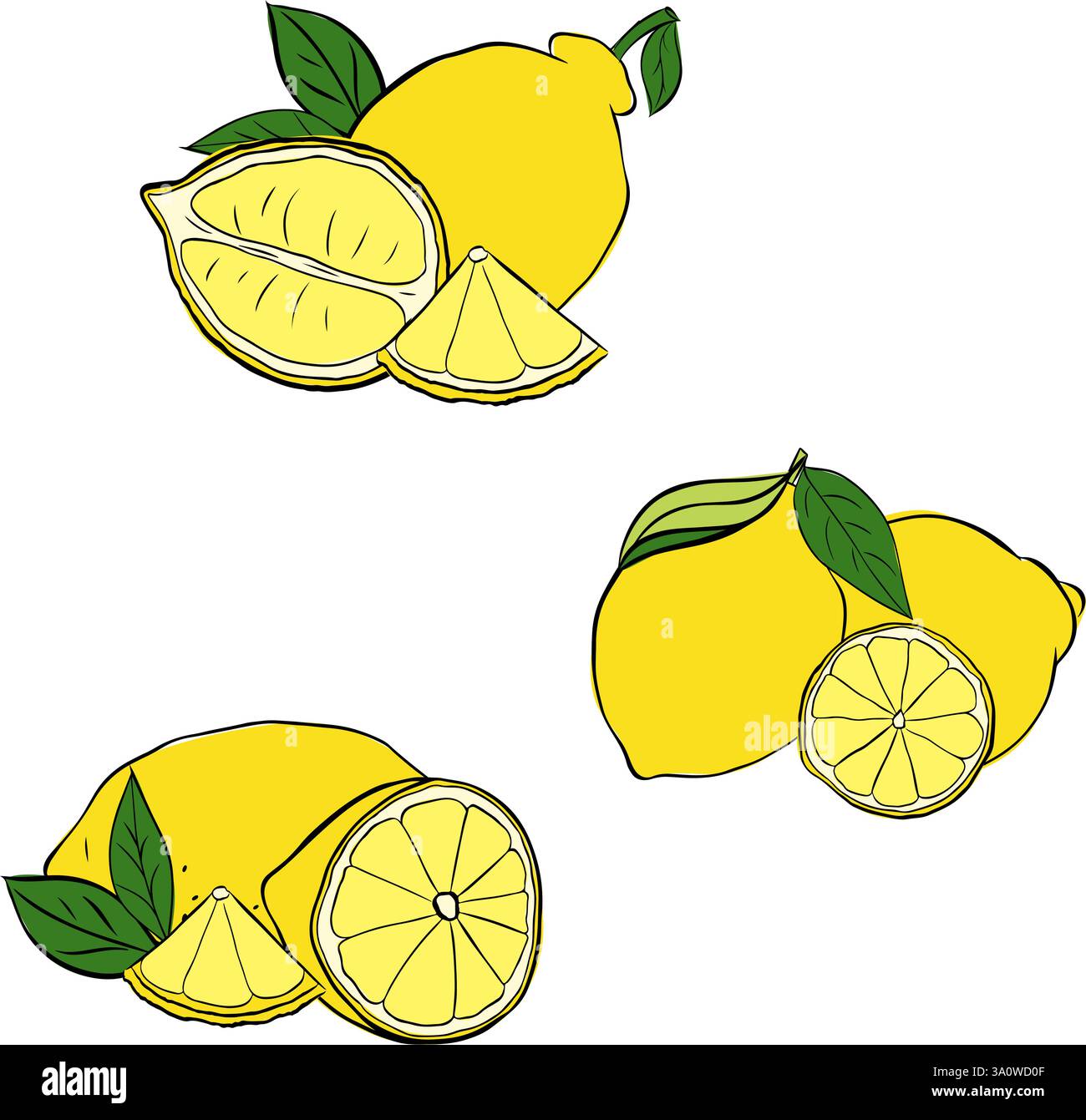 Set lemons with slices and leaves composition sketch vector ...