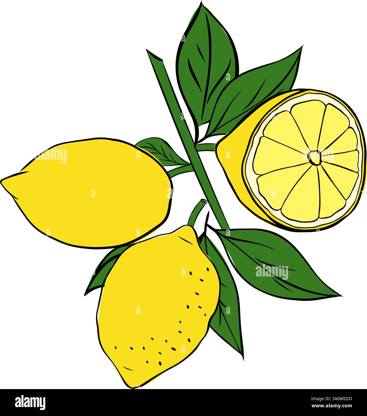 Tropical fruits composition on Stock Vector Images - Alamy