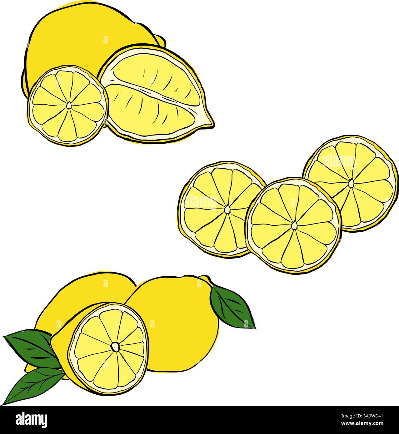 Lemons vector composition set, graphic line ink illustration. Vector ...