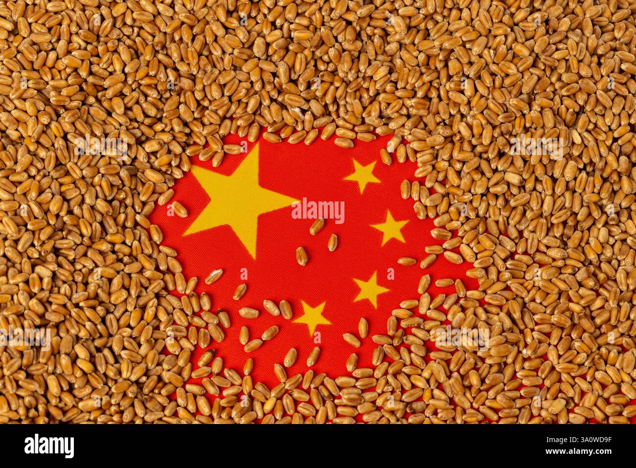 Wheat seed with flag of China. Trade tariffs, agriculture and trade war ...