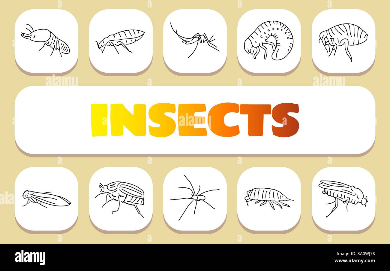 Insects text concept. Shablon for presentation and Infographics ...