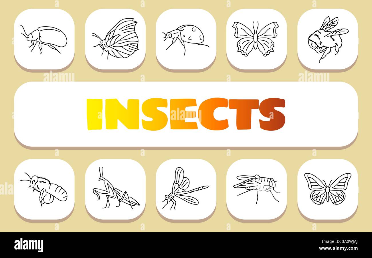 Insects text concept. Shablon for presentation and Infographics ...