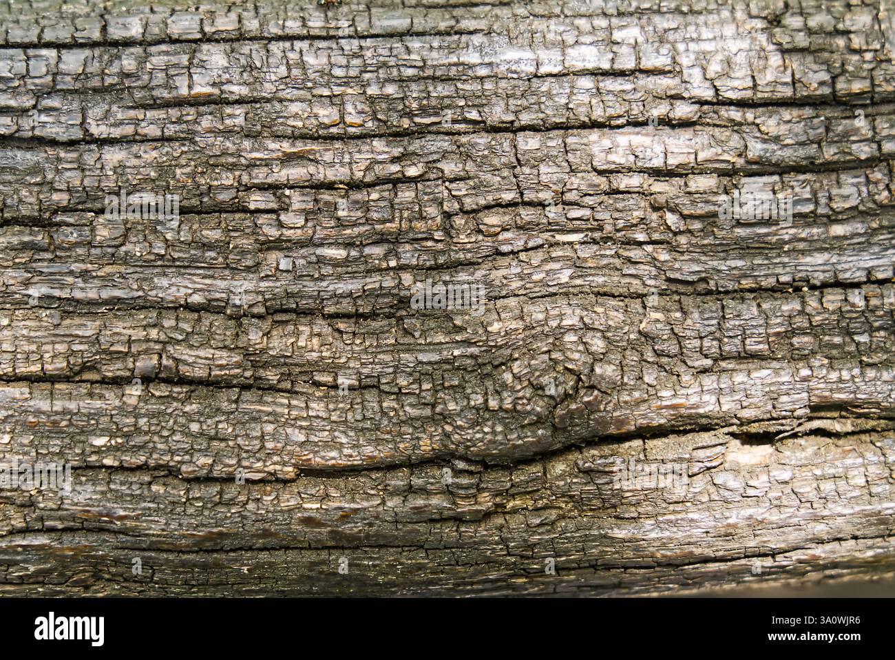 High-Resolution Weathered Wood Texture with Natural Cracks and Rustic ...