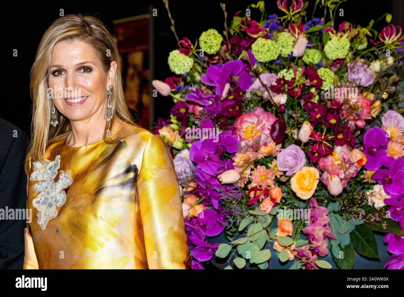 Queen Maxima during the contraperformance of the Cyprus Theatre ...