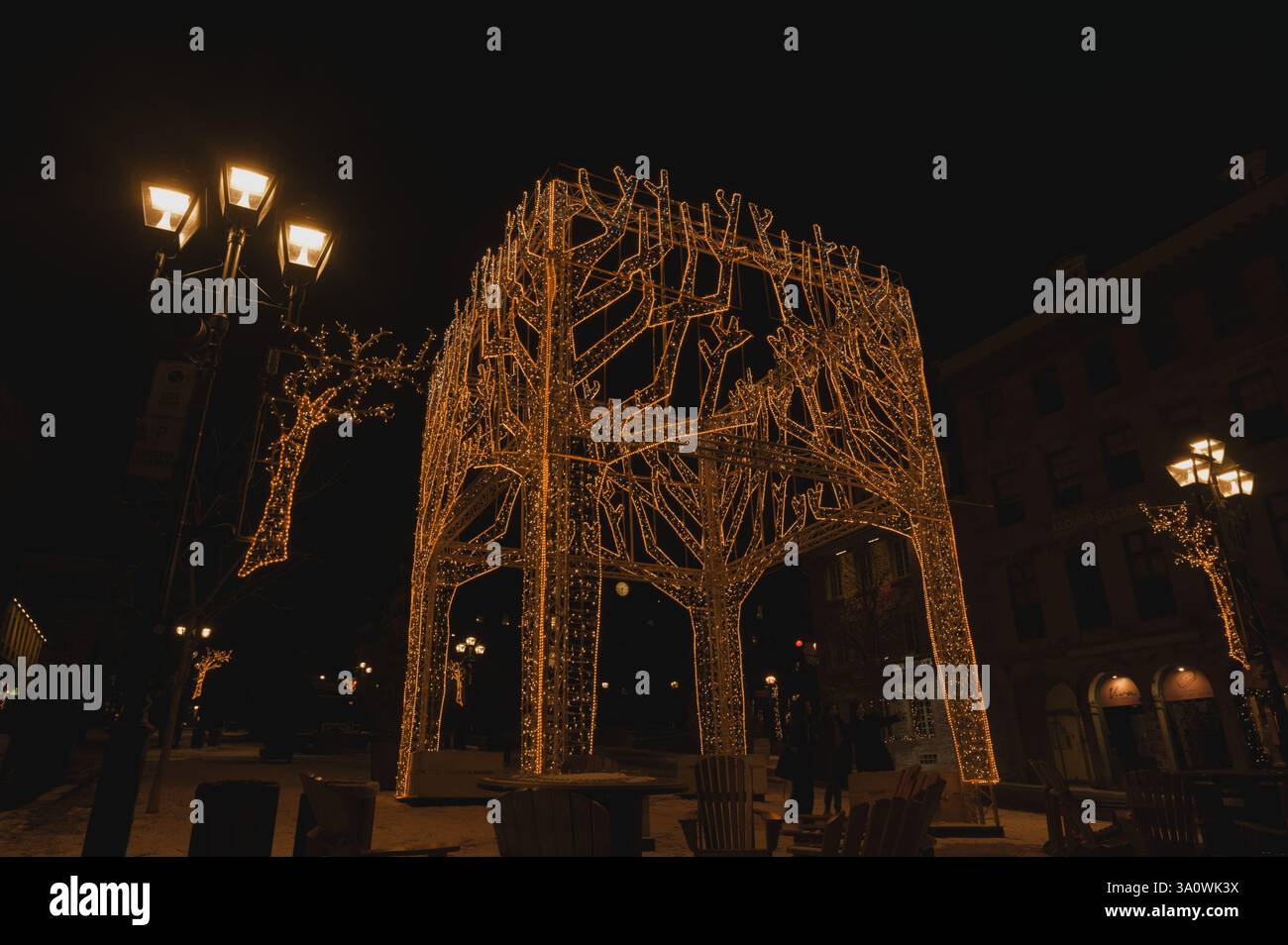 Illuminated tree-like structure lights up the snowy downtown streets of ...