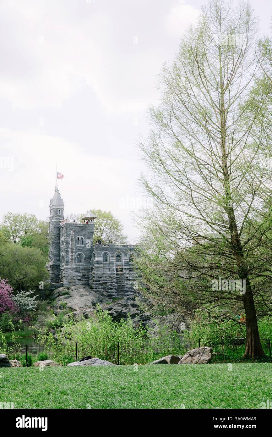 A stone castle stands proudly amidst lush greenery and a tall tree ...