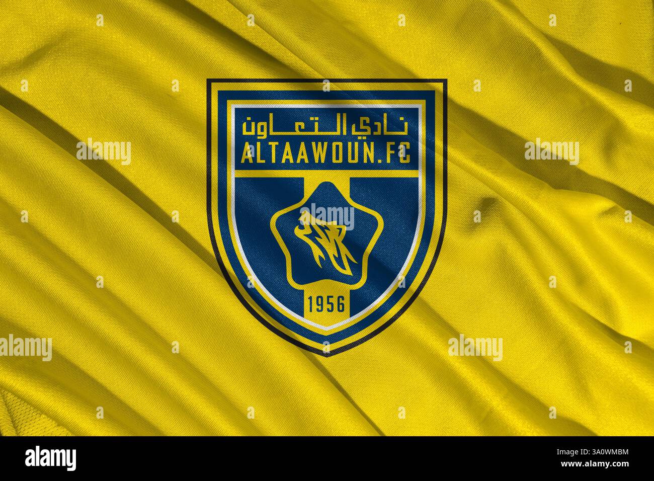 pringsewu, lampung; March 6, 2025; selective focus texture logo flag of ...