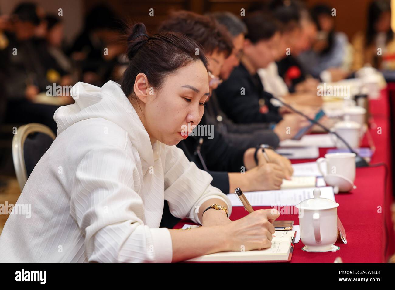 Beijing, China. 5th Mar, 2025. National political advisor Miao Lijie ...