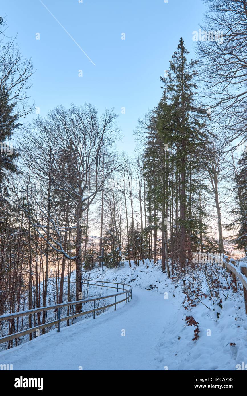 This photograph captures a stunning winter landscape with a snowy hill ...