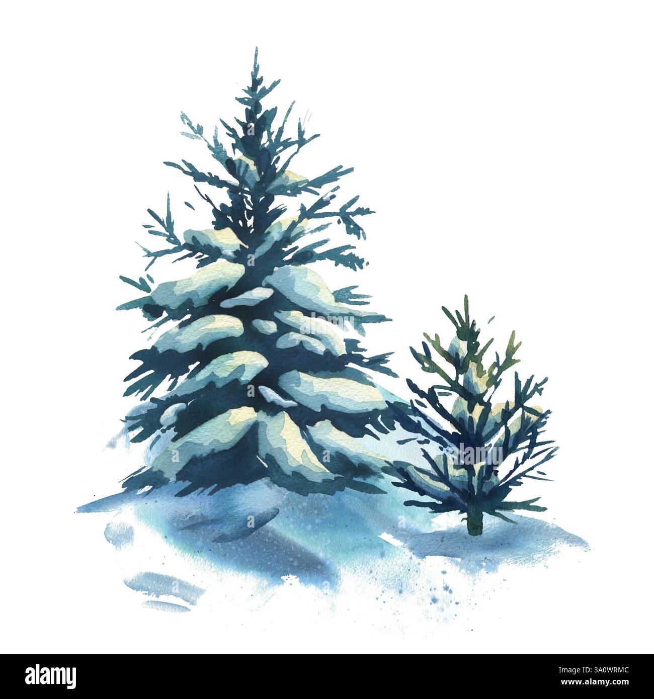 Winter landscape in the forest with two spruce trees with snow on the ...