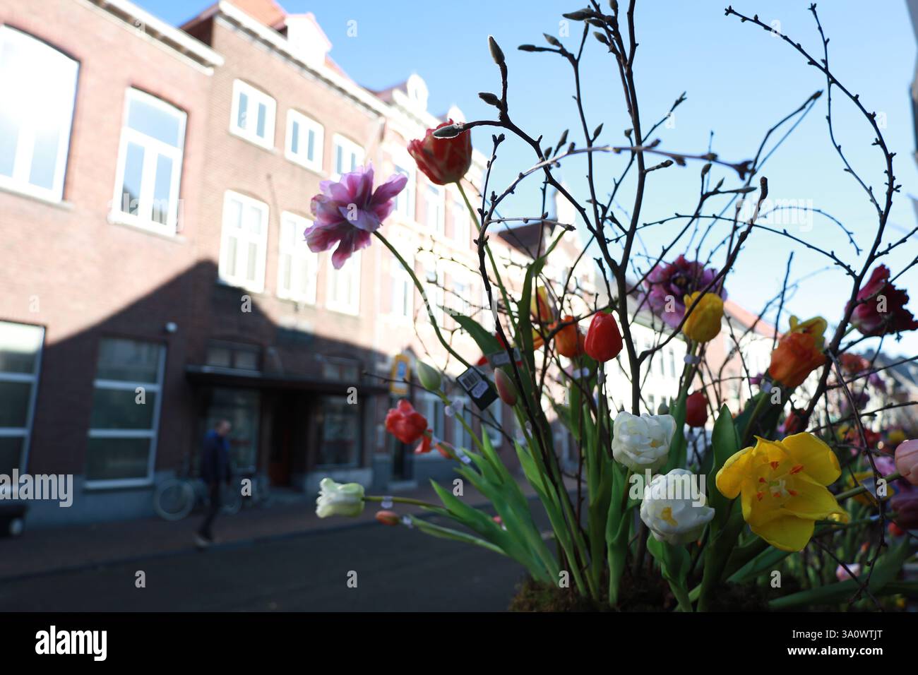 Starlink router hi-res stock photography and images - Alamy