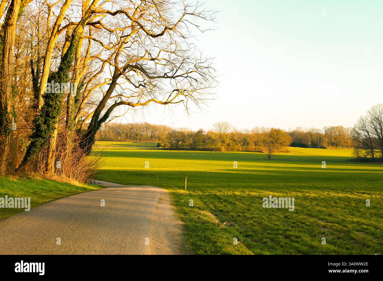 Starlink router hi-res stock photography and images - Alamy