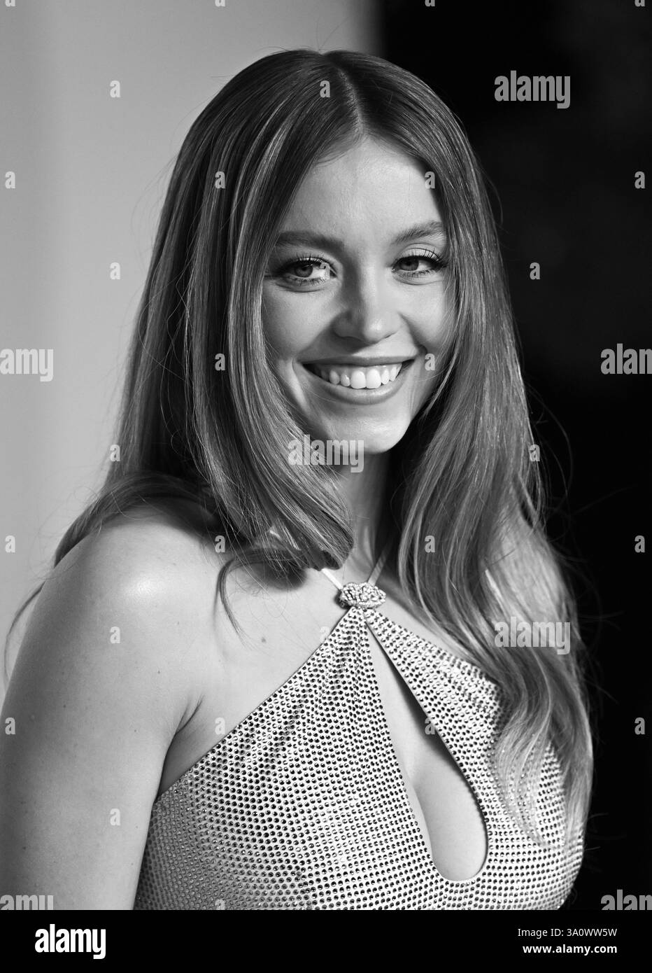 The wallis annenberg center for the performing arts Black and White ...