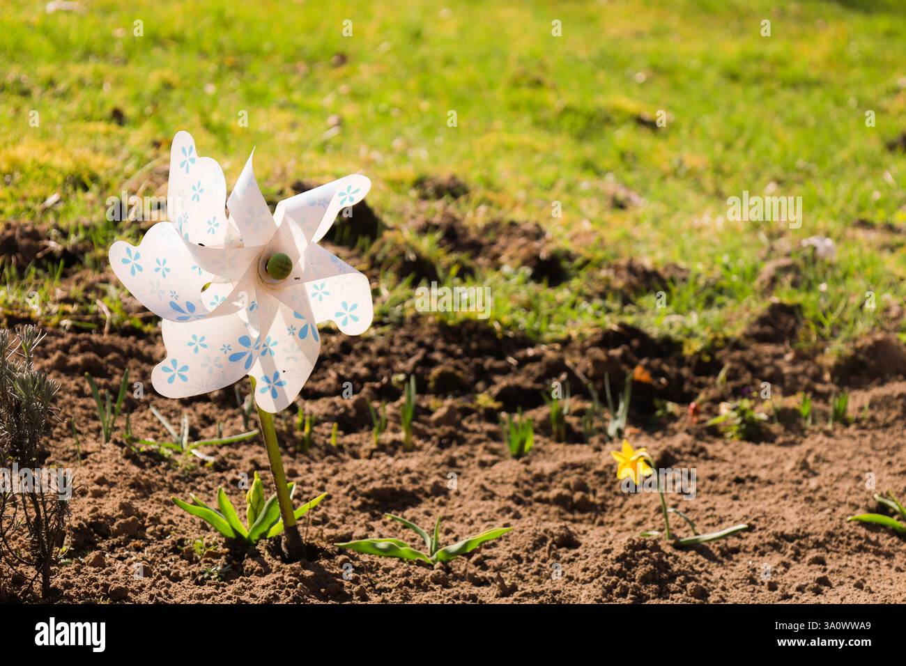 Starlink router hi-res stock photography and images - Alamy