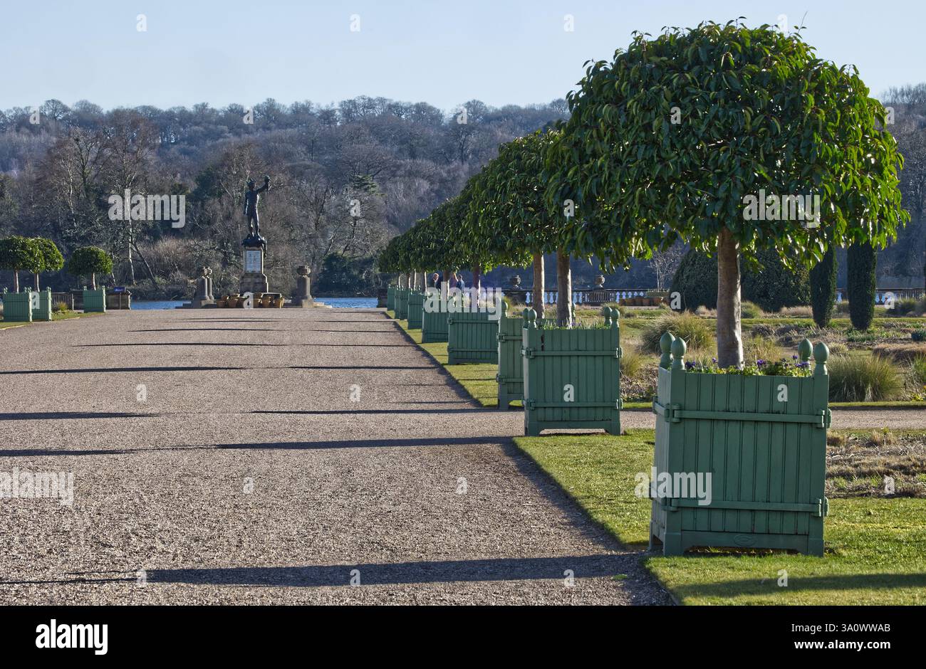 The avenue of ornamental standard trees leading to the statue of ...