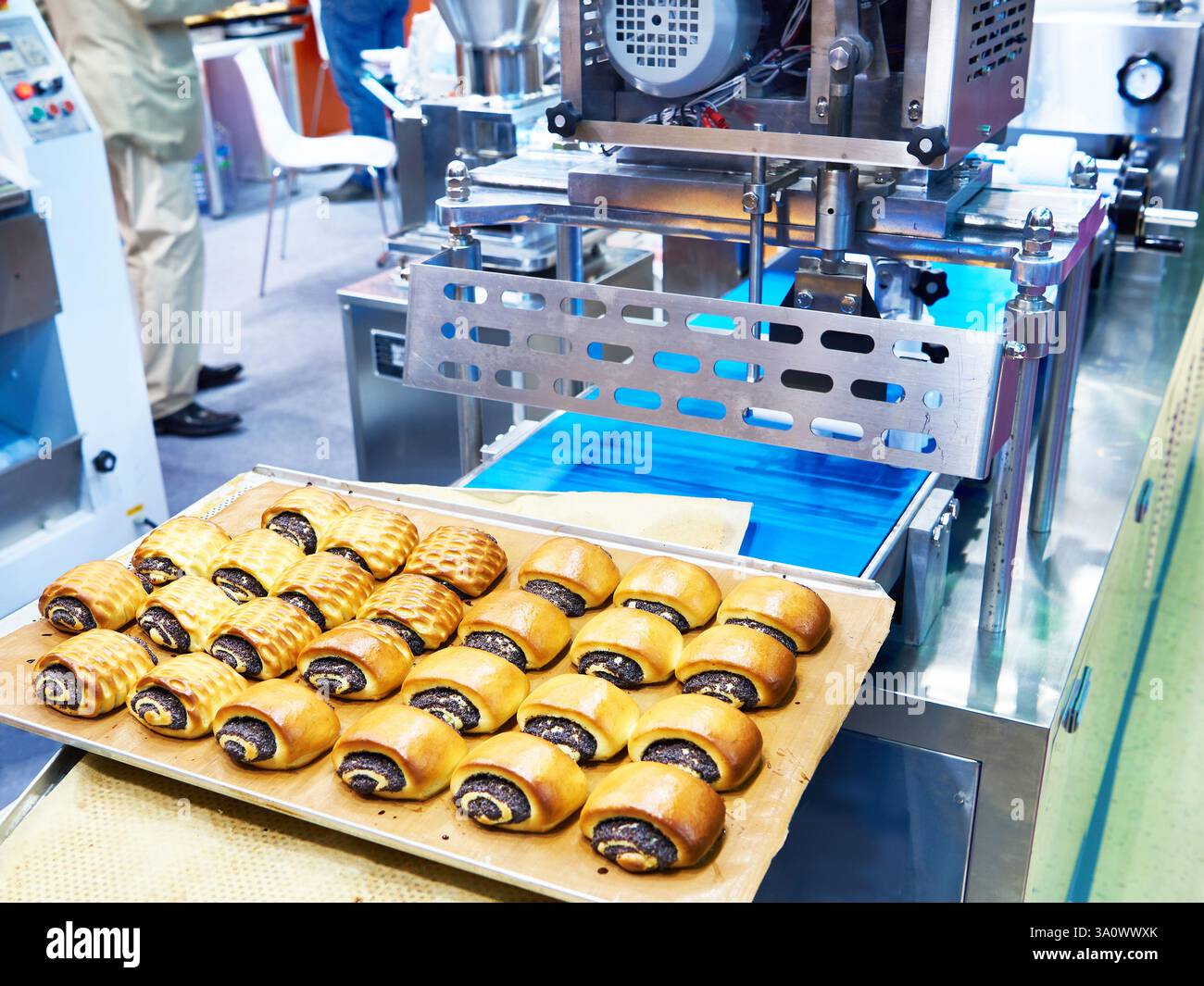 Buns with poppy seed filling on the confectionery machine conveyor ...