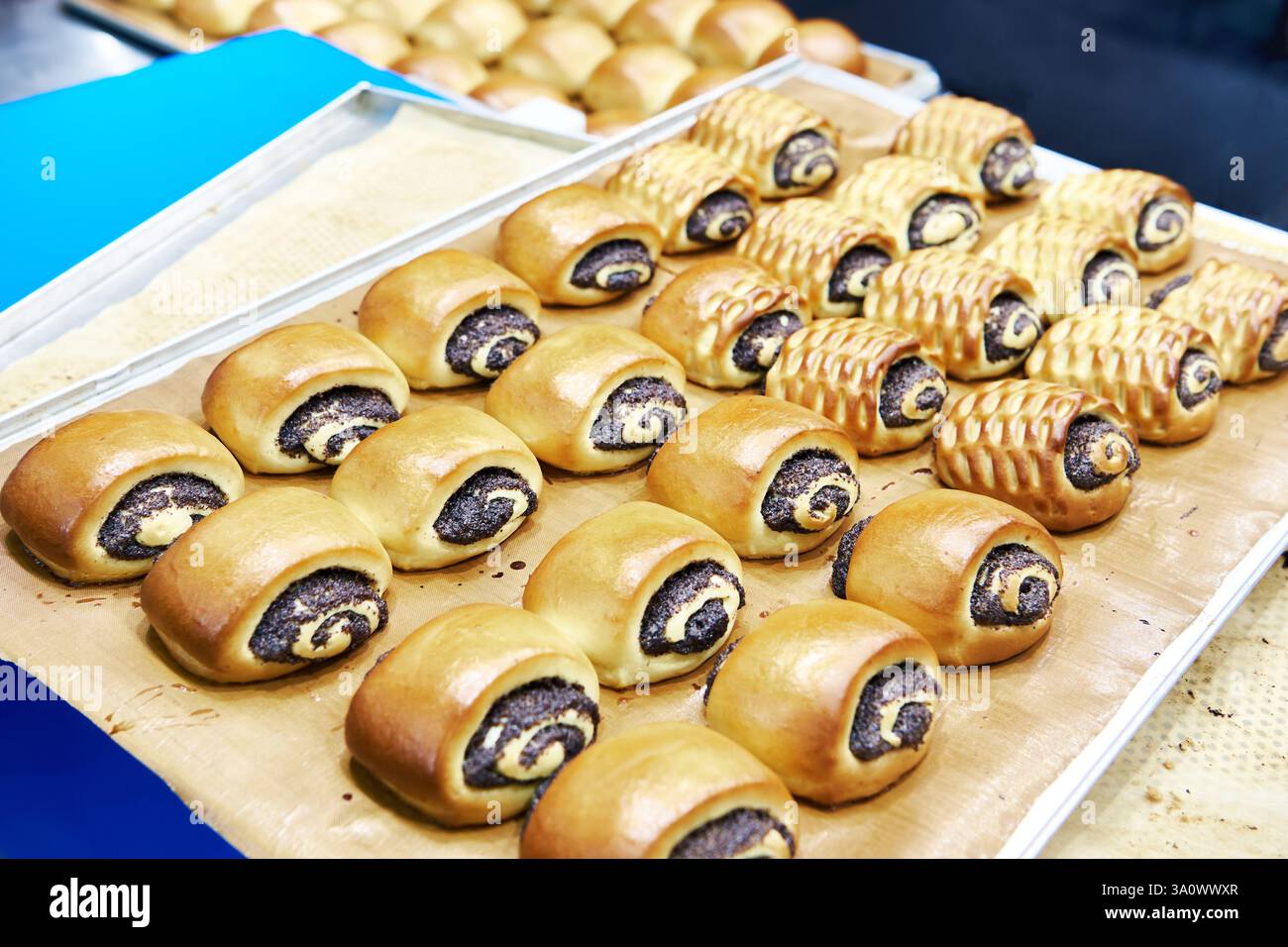 Buns with poppy seed filling on the confectionery machine conveyor ...