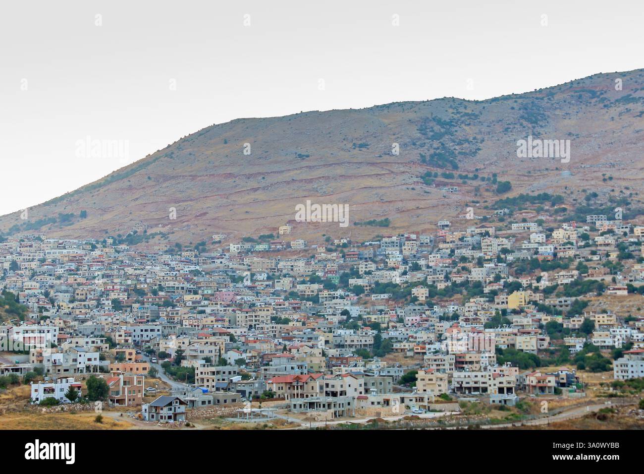 An intricate view of a densely packed town situated on a slope with ...