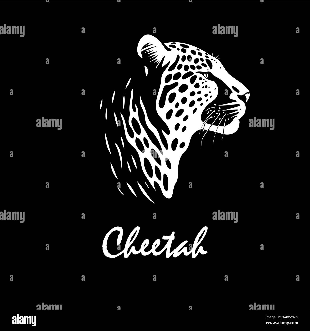 Cheetah head on black background. hand drawing. Not AI, Vector ...