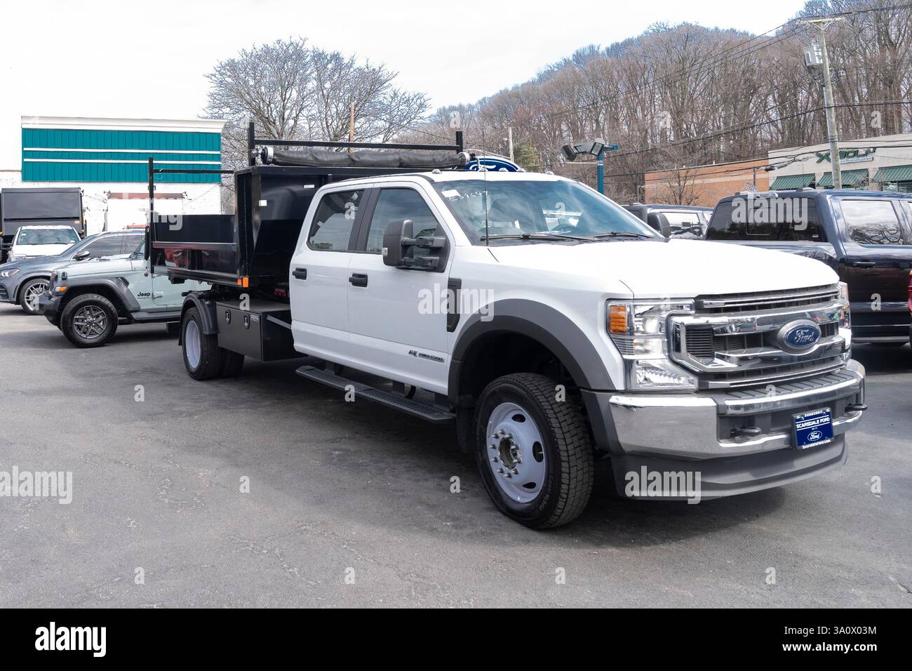Scarsdale, New York, USA. 4th Mar, 2025. View of Ford dealership in ...