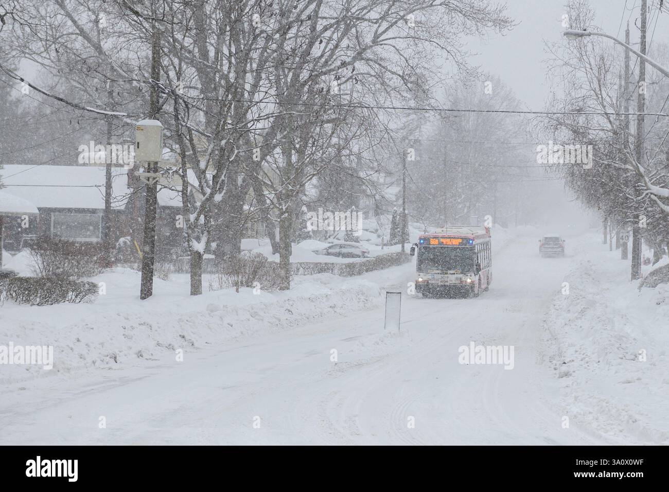 Toronto, ON, Canada - February 27, 2025: The Toronto Transit Commission ...