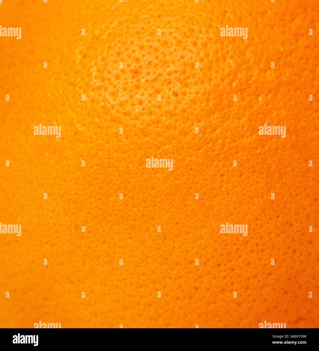 Bumpy skin close up hi-res stock photography and images - Alamy