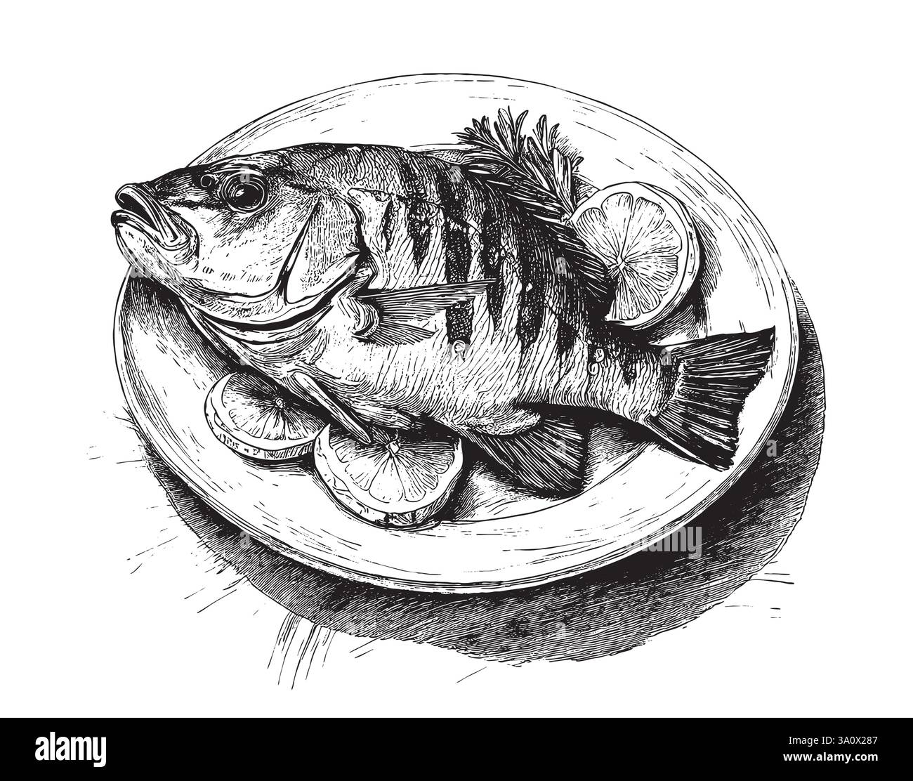 Engraving style sketchy drawing illustration of a grilled fish served ...