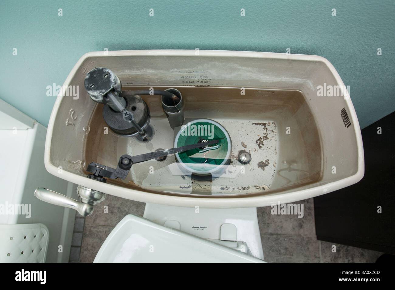 The inside of a toilet Stock Photo - Alamy