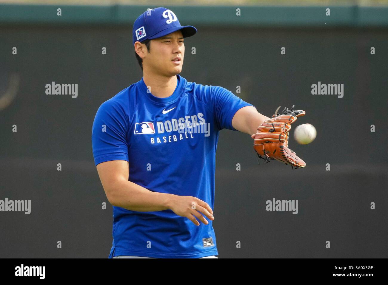 Los Angeles Dodgers' Shohei Ohtani warms up during spring training ...
